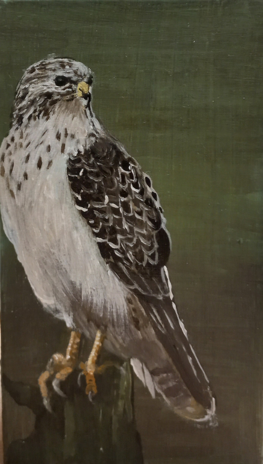 Visarend | Ans de Groot | Pulchri Studio | Galerie Den Haag