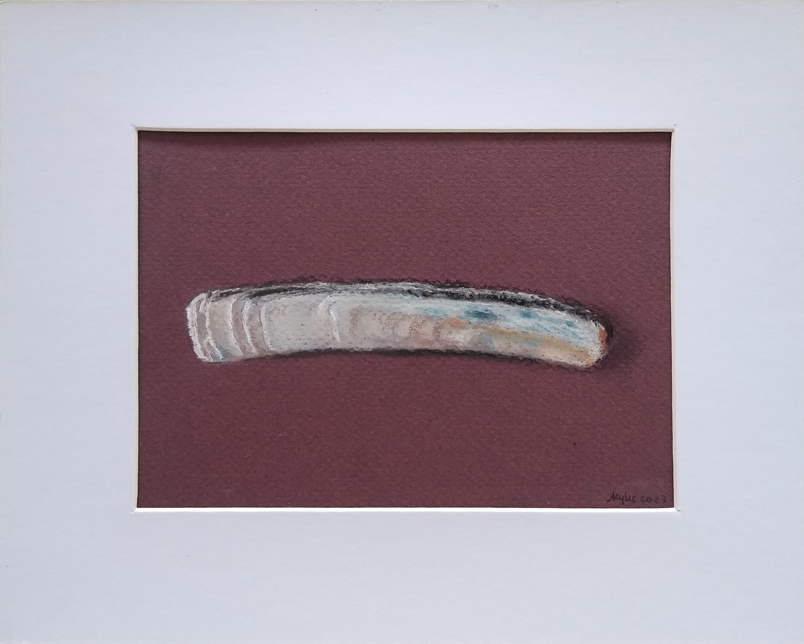 Ensis | Alyke Evers | Pulchri Studio | Galerie Den Haag